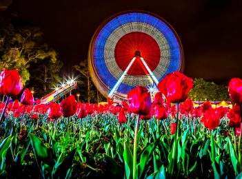 This is Canberra | A culinary and cultural journal for the nation's capital