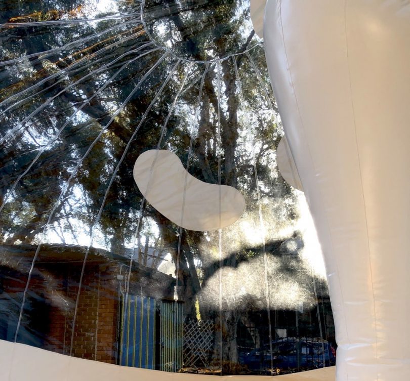 Experience the Canberra Bubble at Haig Park | This is Canberra