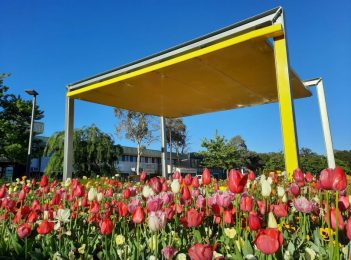 Follow the Floriade Reimagined tulip trail with interactive map | This ...