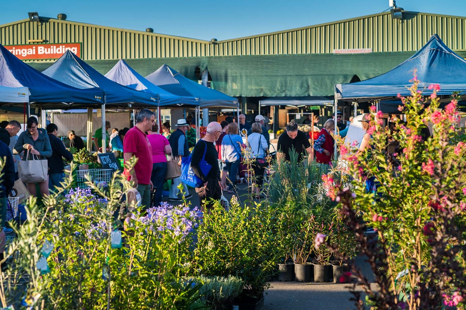 There's a real buzz in the air about this weekend's Farmers Market ...